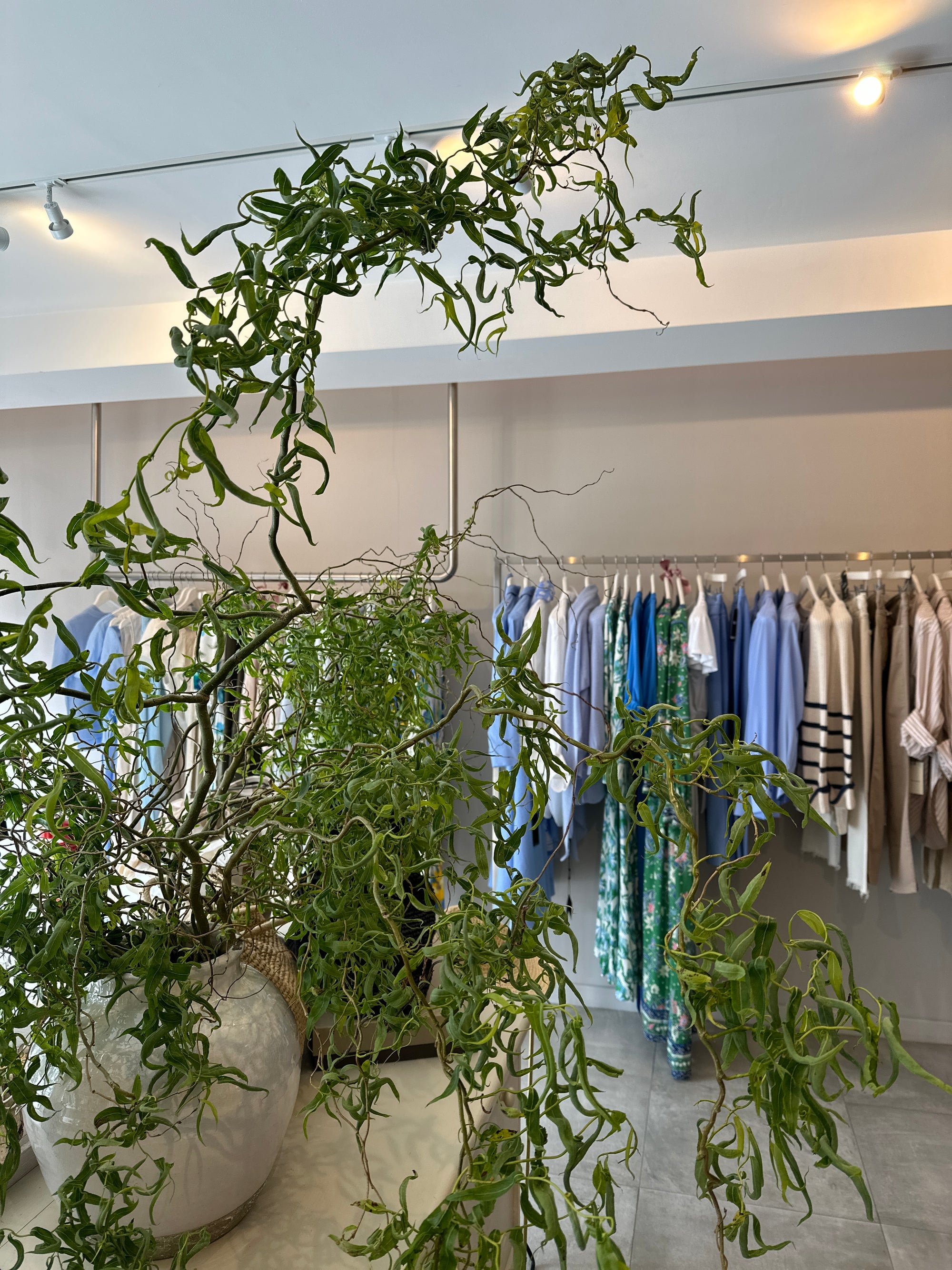 Roco & Coco Multi Brand Womenswear Store – Roco&Coco